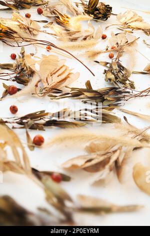 Dry Leaves as Autumn herbal Fall concept texture Stock Photo - Alamy