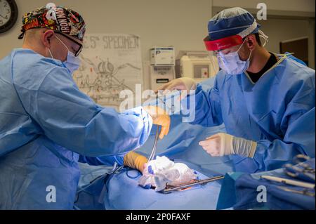 68D operating room specialist students assigned to the U.S. Army ...