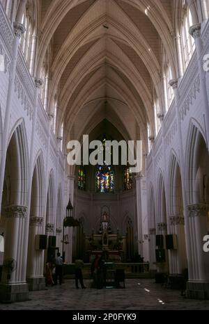 Interior of St. Philomena's church in Mysuru Mysore, Karnataka, South ...