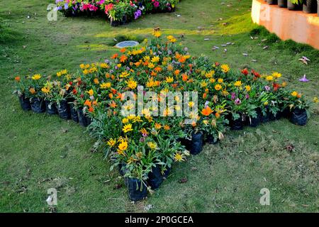 Valley Of Flowers, Statue Of Unity complex, tallest statue in the world, located in the Kevadia ...