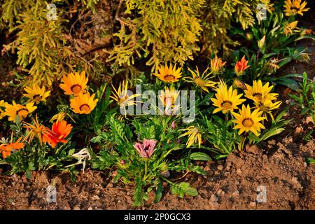 Valley Of Flowers, Statue Of Unity complex, tallest statue in the world, located in the Kevadia ...