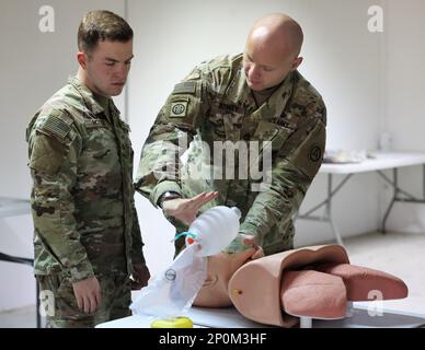 A cohort of new Combat Lifesavers receive CLS-TCCC training at Camp ...
