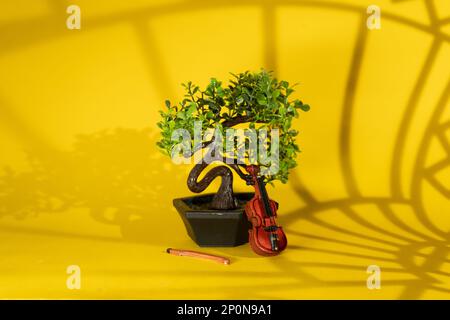 Gobo shade mask and small decorative bonsai tree with cute wooden ...