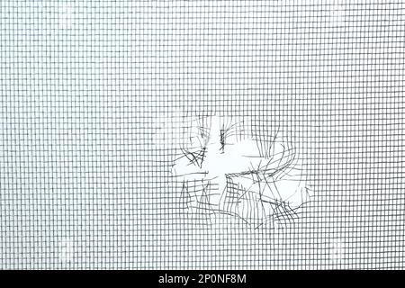 Torn window screen against white background, closeup Stock Photo - Alamy