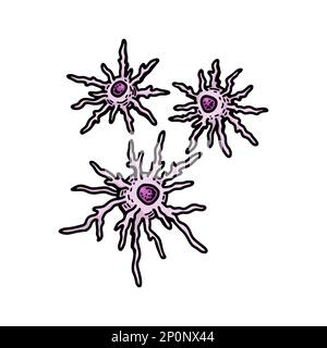 Dendritic blood cell isolated on white background. Hand drawn ...