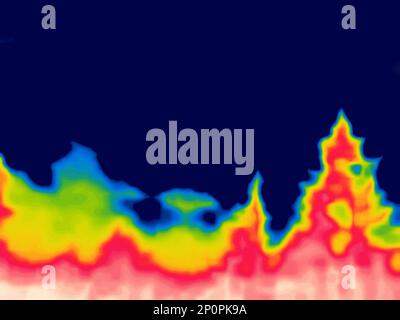 Red Woodland. Image from thermal imager device Stock Photo - Alamy