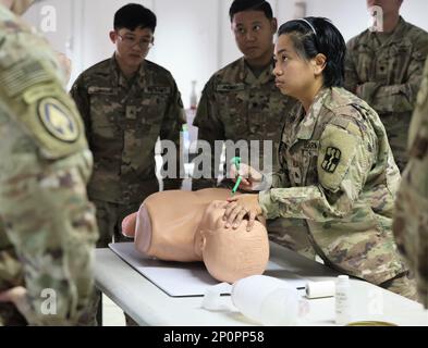 A cohort of new Combat Lifesavers receive CLS-TCCC training at Camp ...