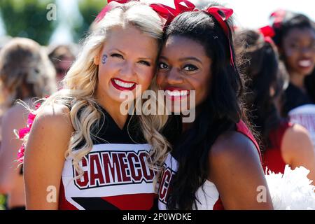 October 1, 2016: South Carolina Gamecocks quarterback Brandon McIlwain ...