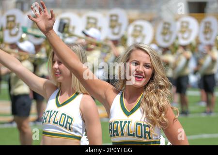 10 September 2016: Baylor Bears cheerleader during the game between ...