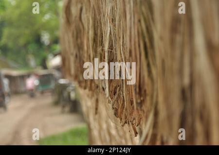 Picture of a woman processing jute in Bangladesh Stock Photo - Alamy