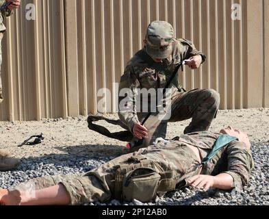A cohort of new Combat Lifesavers receive CLS-TCCC training at Camp ...