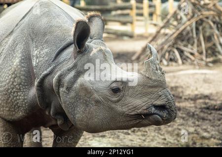 Street Life, In and around Vienna Stock Photo - Alamy