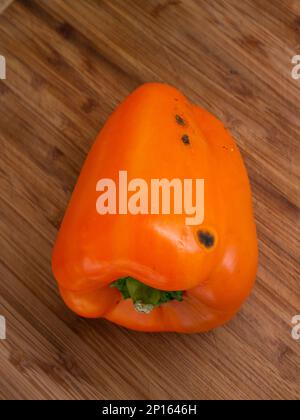 Moldy and wrinkled rotten yellow peppers. Concept of unhealthy ...