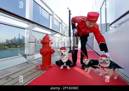 DOGS IN SPACE, from left: Chonies (inside, voice: David Lopez), Stella ...