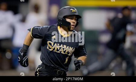 Alabama State infielder Randy Flores (1) celebrates a home run by ...