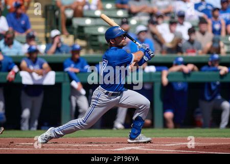 Toronto Blue Jays Vinny Capra (47) bats during a spring training ...
