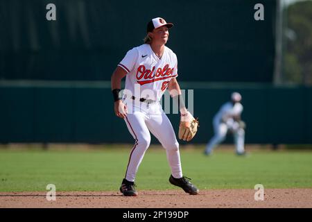 Baltimore Orioles shortstop Jackson Holliday (87) during a spring ...