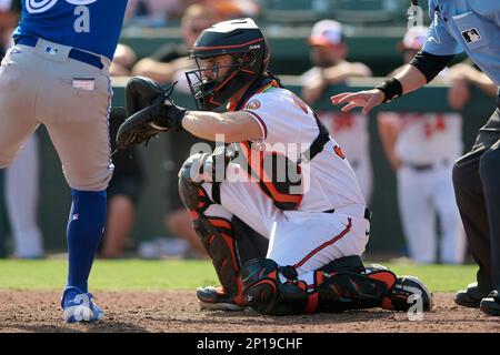 Baltimore Orioles catcher Anthony Bemboom (37) during a spring training ...