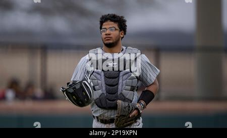Arkansas-Pine Bluff catcher Edwin DeLaCruz (38) runs during an NCAA ...