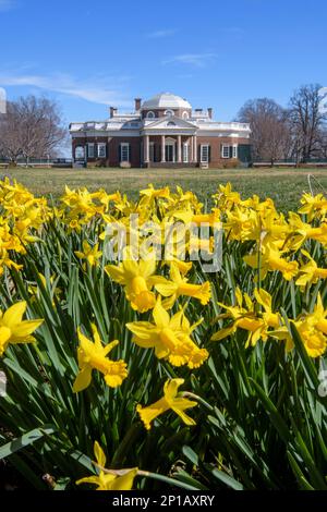 Early springtime flowers, Monticello, the historic home of Thomas ...