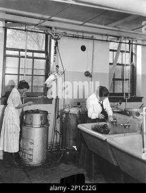 A team of people preparing fruit preserves with canning methods in a ...