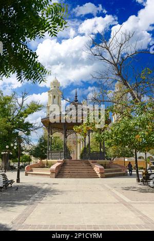 Trees in a park in Zaragoza city, Spain Stock Photo - Alamy
