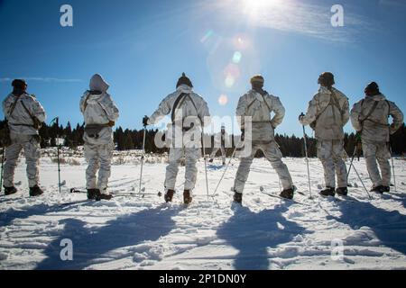 A group of soldiers on skis Stock Photo - Alamy