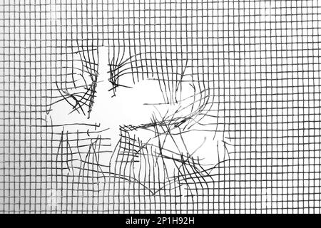 Torn window screen against white background, closeup Stock Photo - Alamy