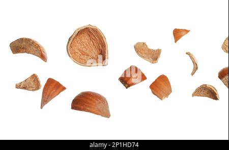 Pieces of hazelnut shell on white background Stock Photo - Alamy
