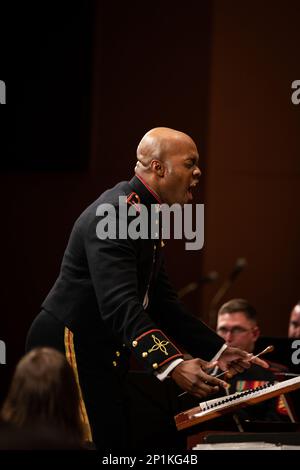 Chief Warrant Officer 2 DeMarius Jackson, band officer of Marine Corps ...