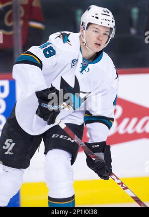 San Jose Sharks' Tomas Hertl, right, of the Czech Republic, is checked ...
