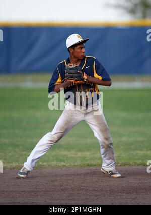 Boca Ciega Pirates shortstop Lazero Rodriguez (17) during a game ...