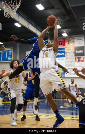 February 04, 2016: Cal State Bakersfield Roadrunners head coach Rod ...