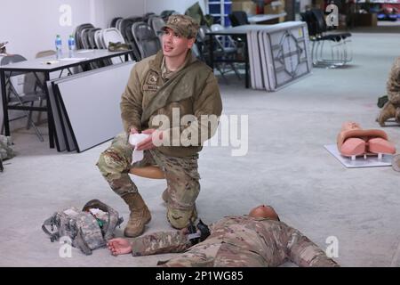 A cohort of new Combat Lifesavers receive CLS-TCCC training at Camp ...