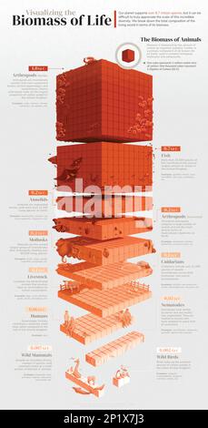 Biomass of all life on Earth, illustration Stock Photo - Alamy
