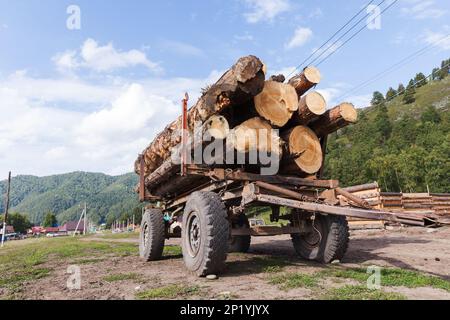 Truck trailer full of Siberian pine logs stands on a roadside. Altay ...