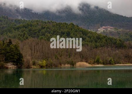 Mountain landscape with cut tree trunks Stock Photo - Alamy