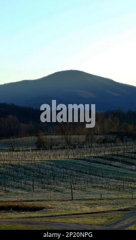 Oasis Winery says in their brochure that they are rated top 10 in the ...