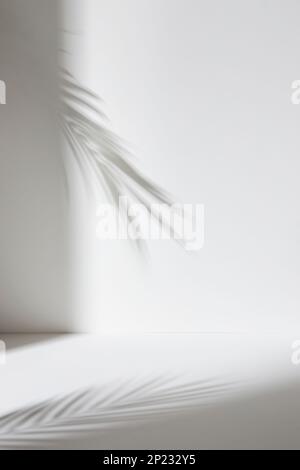 Monotone background wall with palm tree leaf shadows Stock Photo - Alamy