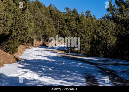 Cabeceras del Ter and Freser Natural Park, Girona,Spain Stock Photo - Alamy