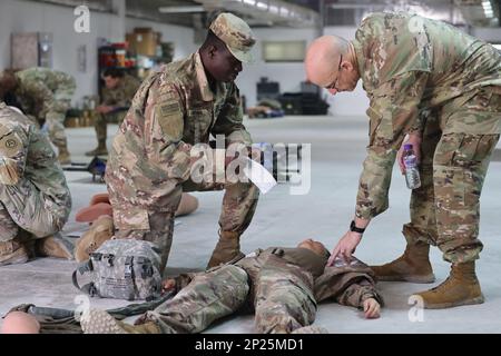 A cohort of new Combat Lifesavers receive CLS-TCCC training at Camp ...