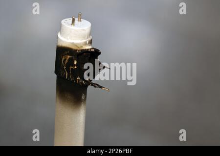 Substandard materials of ledtube a led tube light neon lamp, a burnt ...