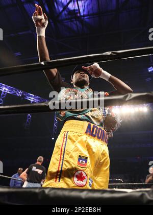 Boxing - WBC Light Heavyweight Title - Dennis Andries v JB Williamson - Picketts Lock Stadium ...