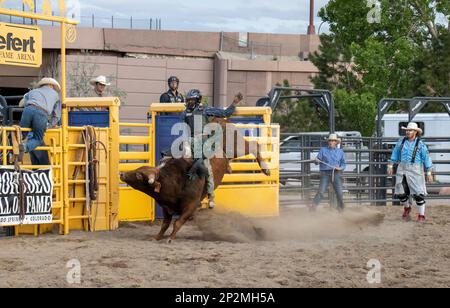 Cowboy tries to stay atop bucking bull during rodeo at Colorado Springs ...