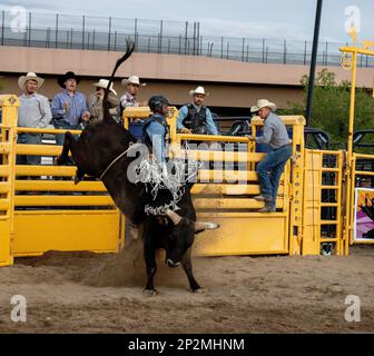 Cowboy tries to stay atop bucking bull during rodeo at Colorado Springs ...