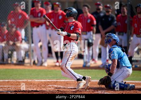 Northeastern Huskies Mike Sirota (8) hits a home run during an NCAA ...