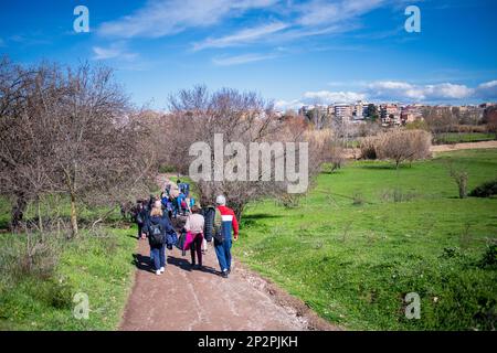 The Caffarella park in the city of Rome, Appia Antica, Almone river ...
