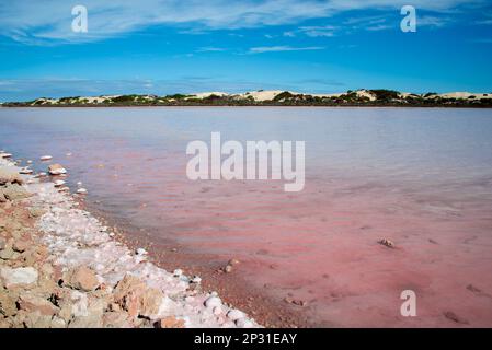 Point Sinclair Pink Lake - South Australia Stock Photo - Alamy