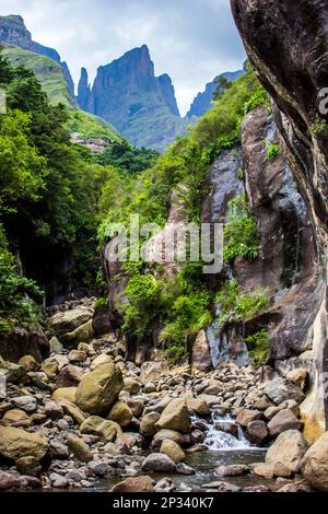 Devil's Tooth, Drakensberg Mountains, KwaZulu-Natal, South Africa ...