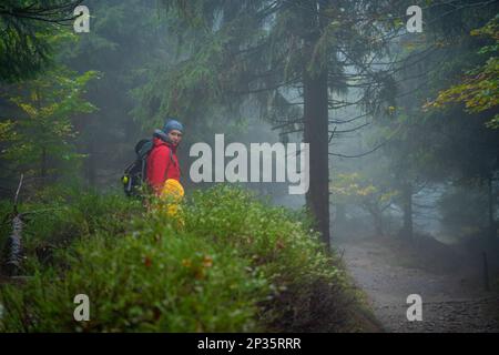 Mum and her little son go on a mountain trail in wet autumn weather ...